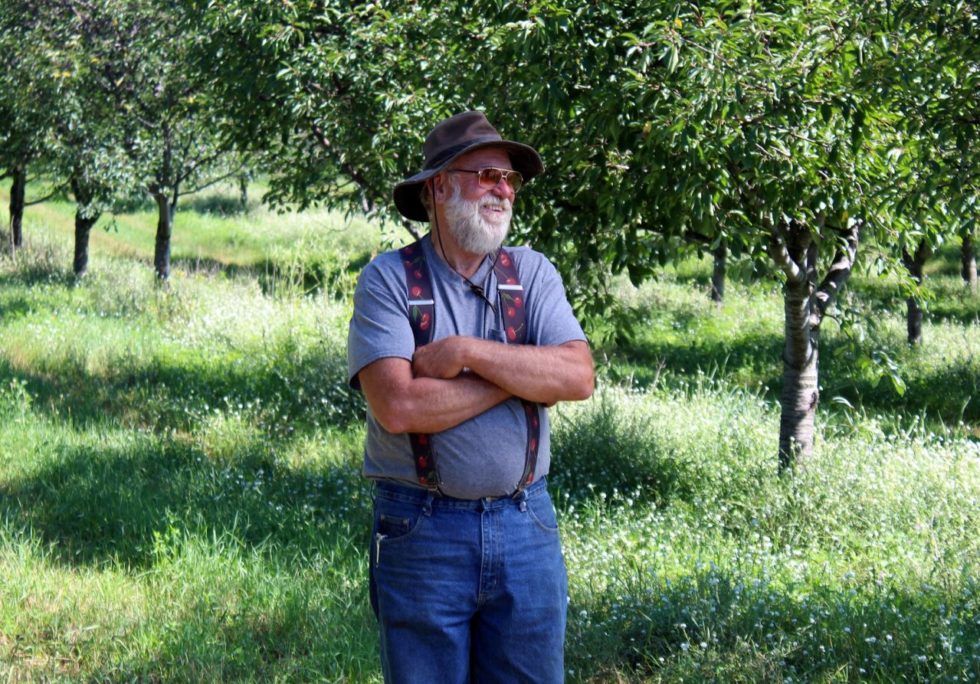 Lutz Farm Cherry Harvest - Graceland Fruit